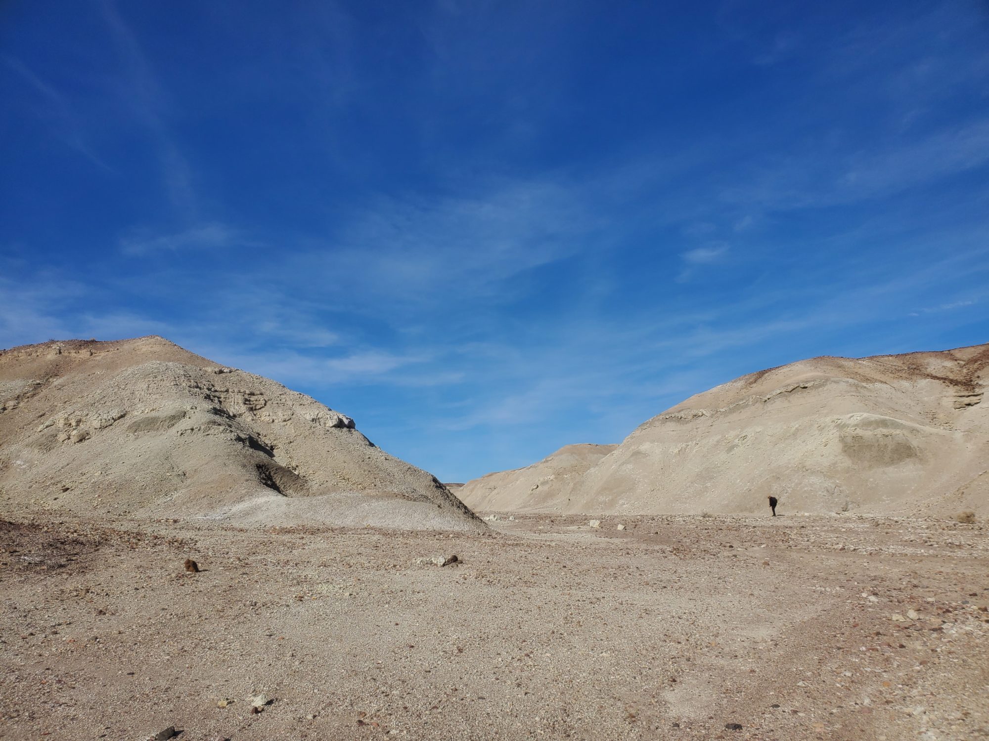 Tecopa Opal Beds and Emigrant Pass Trilobites, Oct 29-30, 2022 (updated ...
